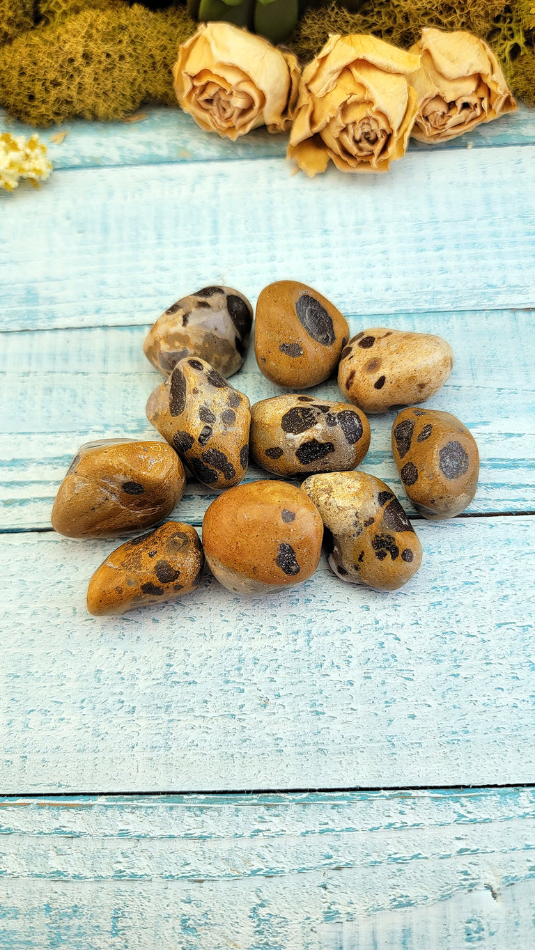 Leopardite – Crystal Gemstone Shop