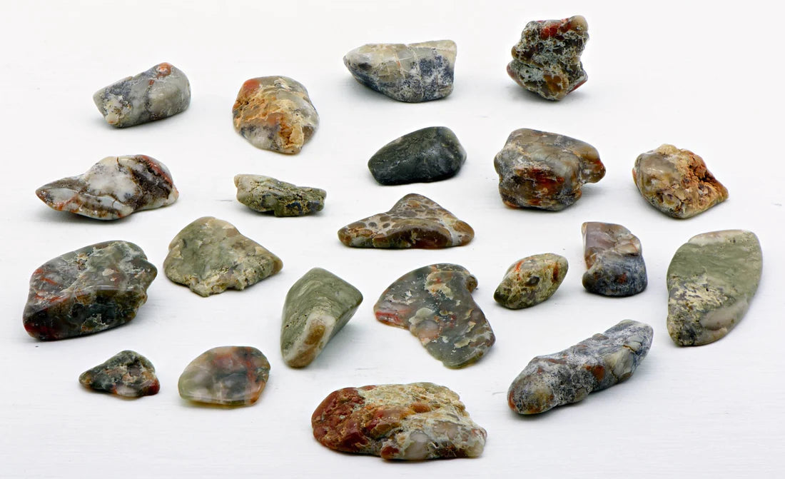 Coprolite Stone | Properties & Information of Coprolite – Crystal ...