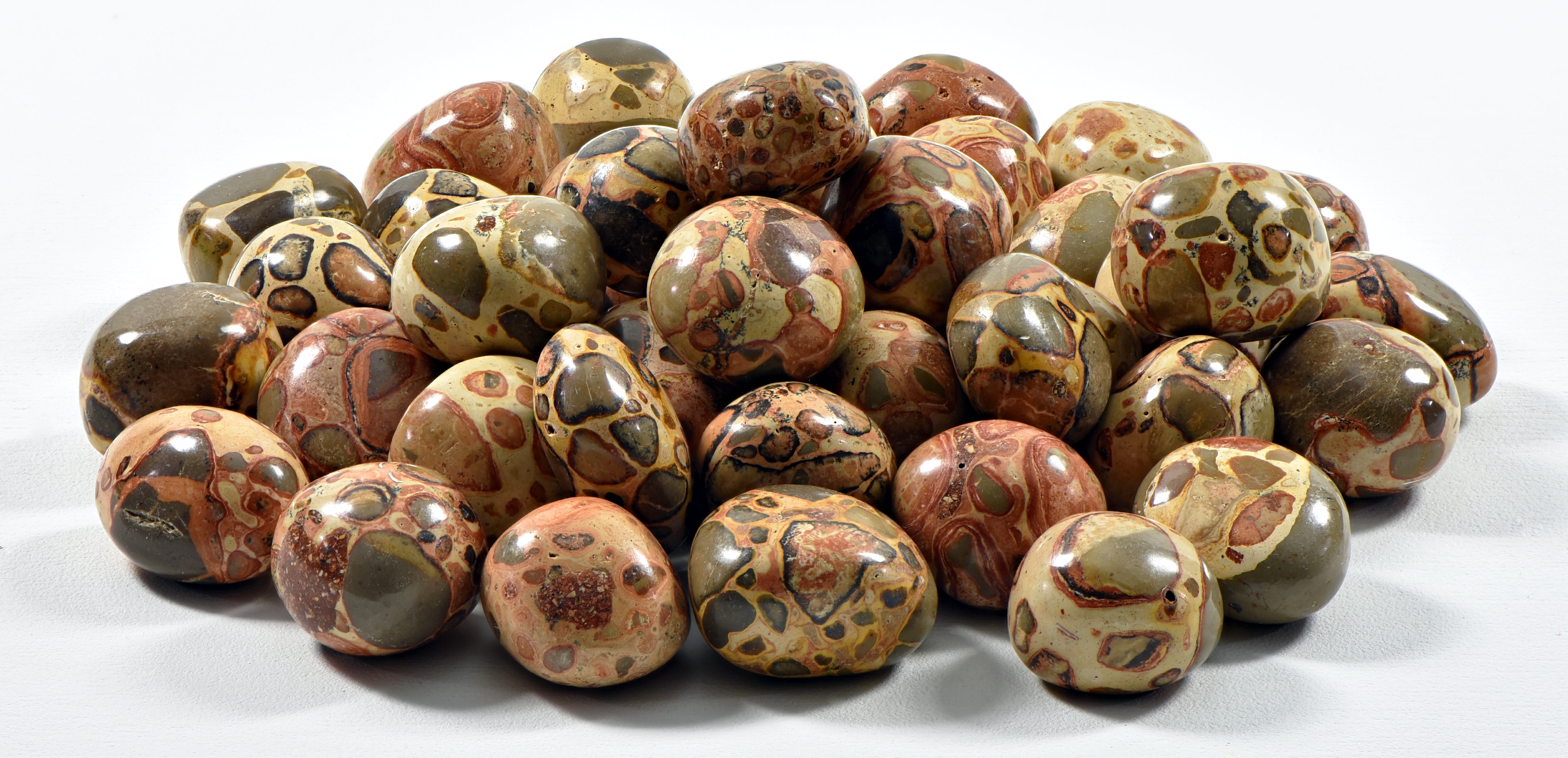 Leopardite – Crystal Gemstone Shop