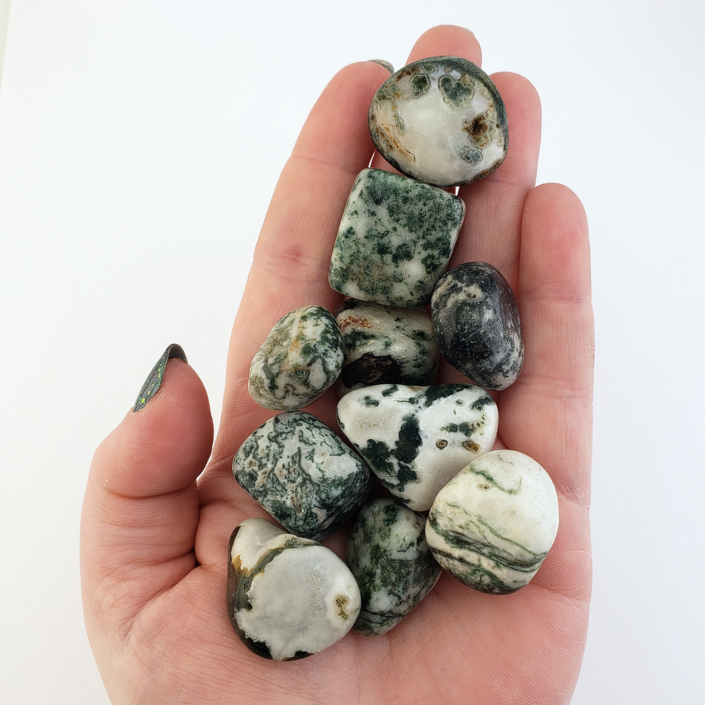 Tree Agate Stone Natural Crystal Tumbled Stone – Crystal Gemstone Shop
