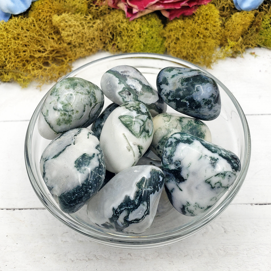 Tree Agate Stone Natural Crystal Tumbled Stone – Crystal Gemstone Shop