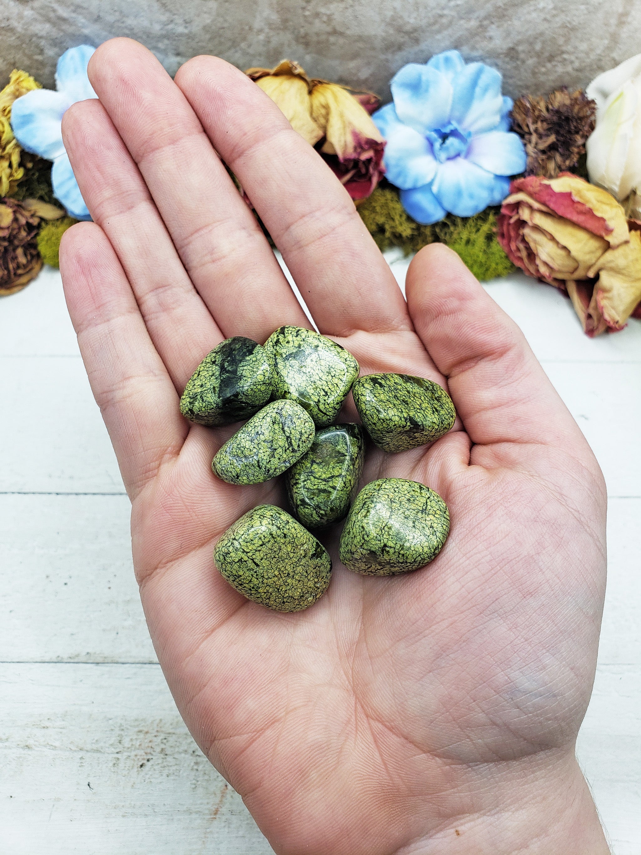 Asterite Serpentine Natural Tumbled Gemstone - One Stone – Crystal ...