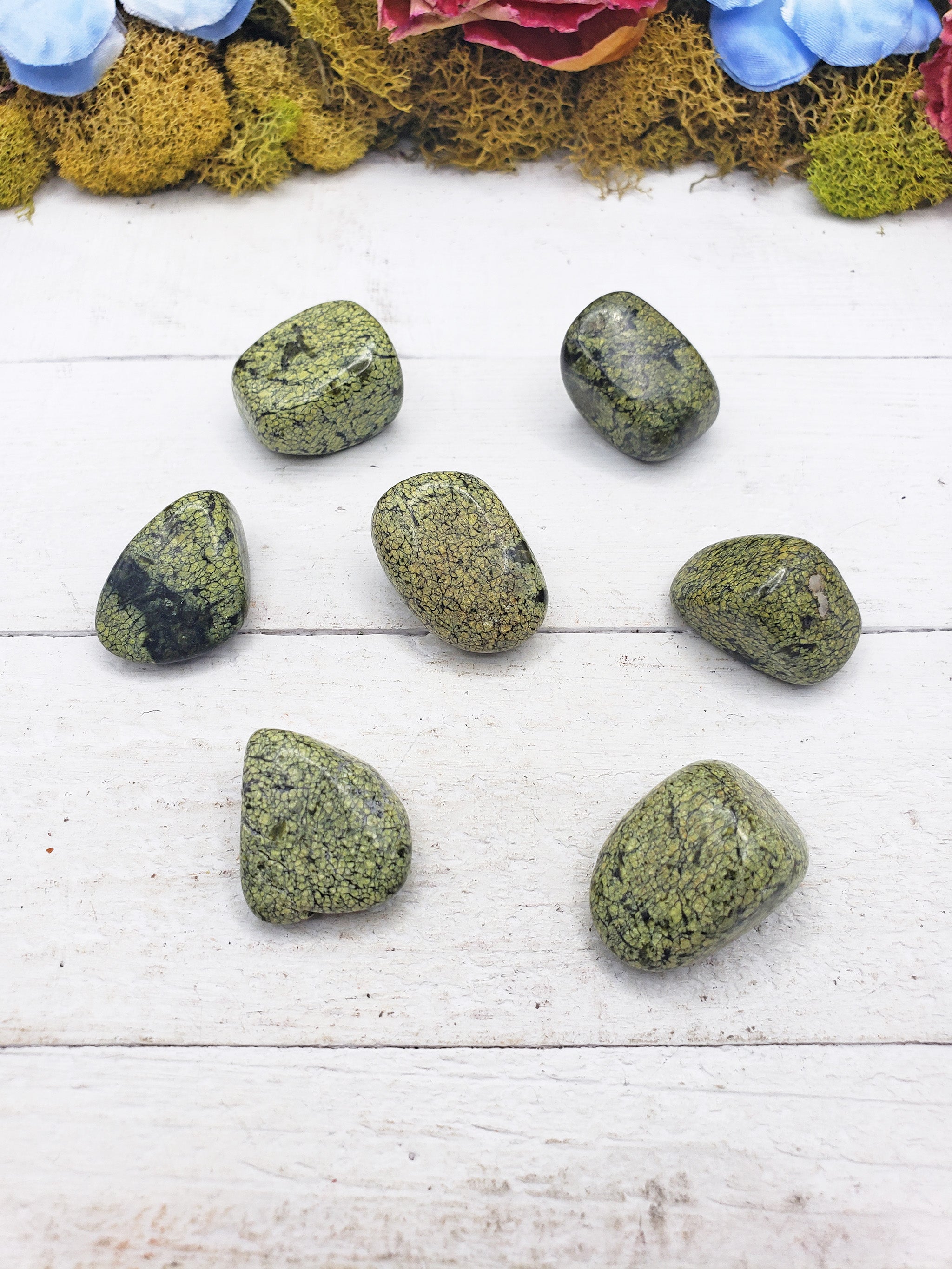 Asterite Serpentine Natural Tumbled Gemstone - One Stone – Crystal ...