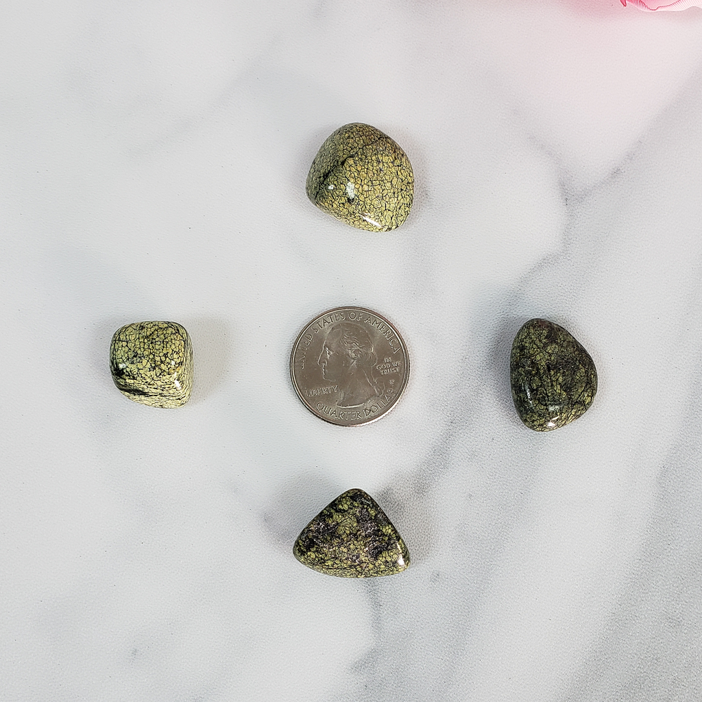 Asterite Serpentine Stone Natural Gemstone Tumbled Crystal – Crystal ...