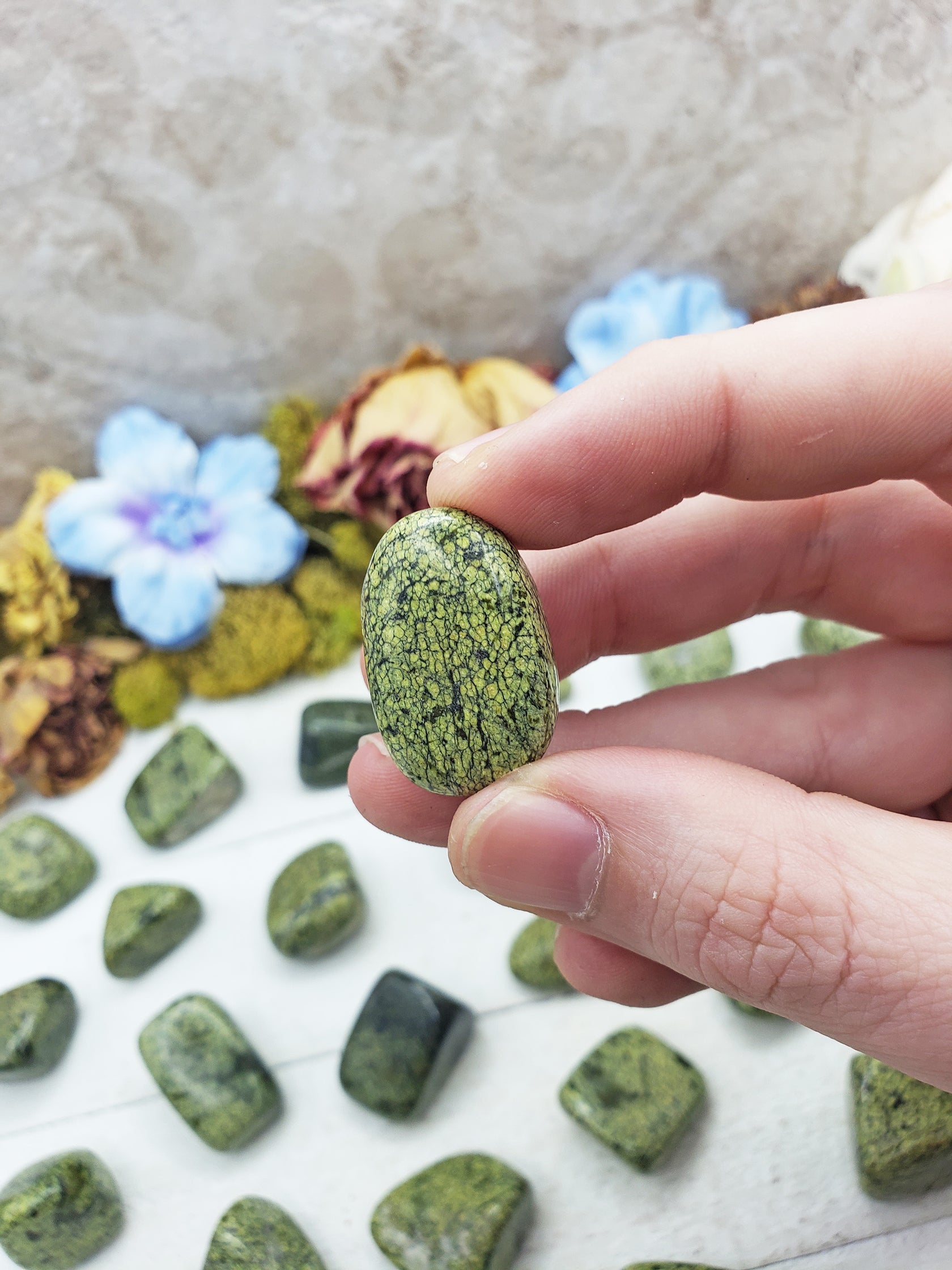 Asterite Serpentine Natural Tumbled Gemstone - One Stone – Crystal ...