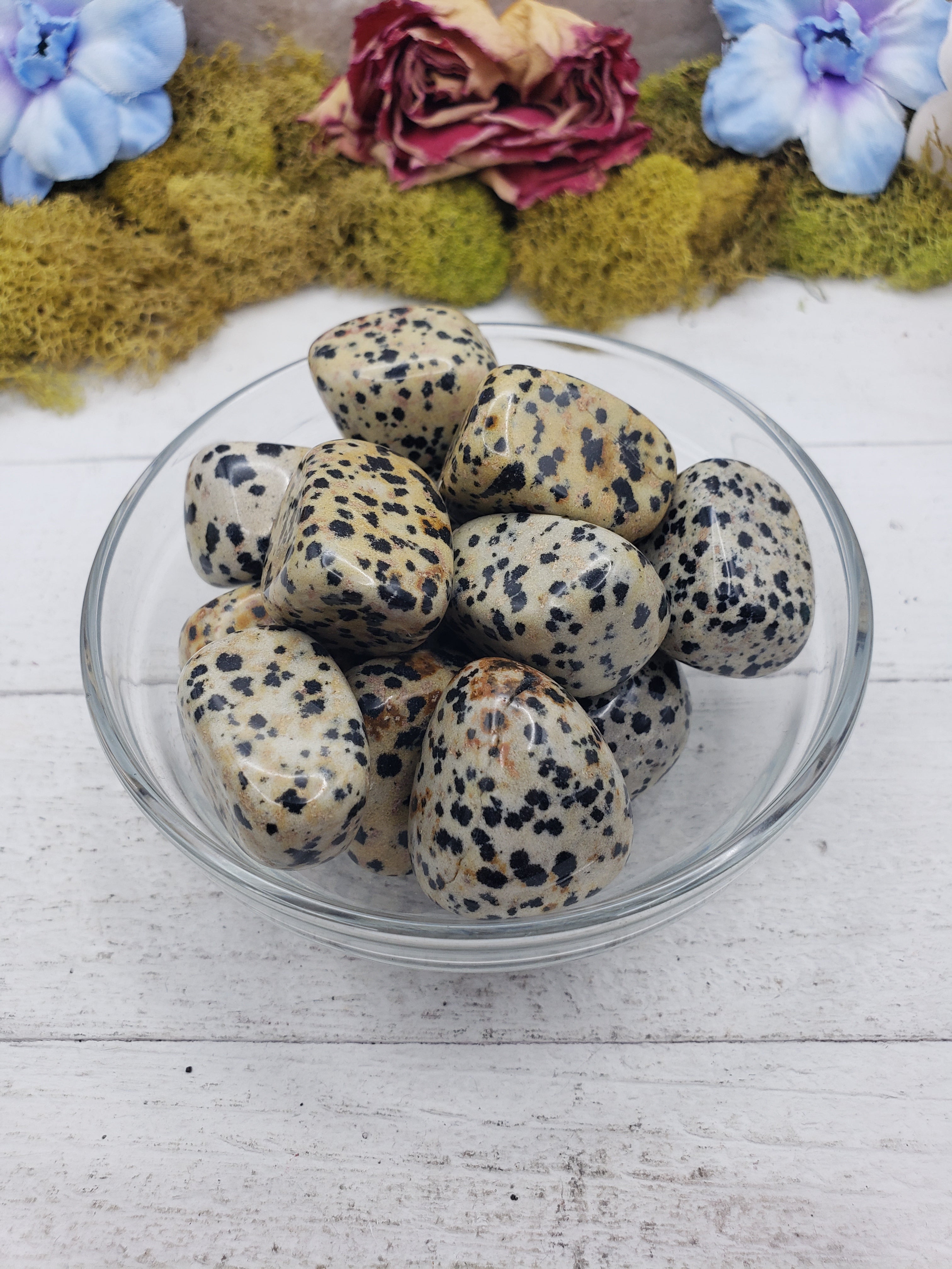 Dalmatian Jasper Tumbled Gemstone - Single Stone – Crystal Gemstone Shop