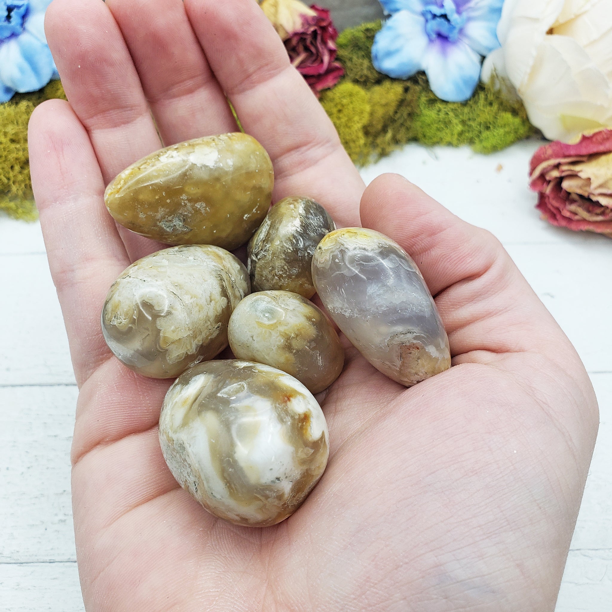 Moss Agate Stone | Moss Chalcedony – Crystal Gemstone Shop