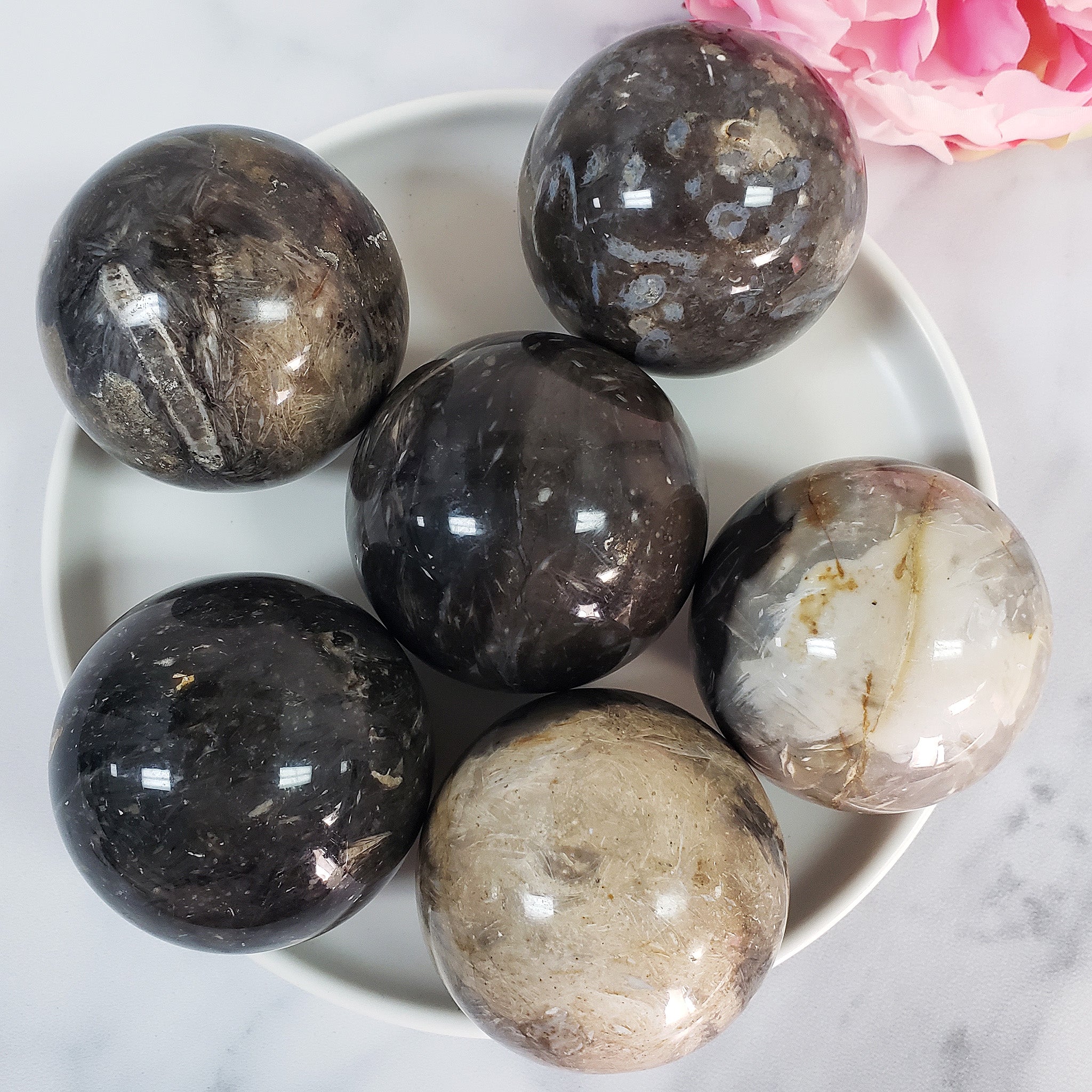 Palm Root Fossil Agatized Petrified Wood Natural Organic Gemstone Crys ...