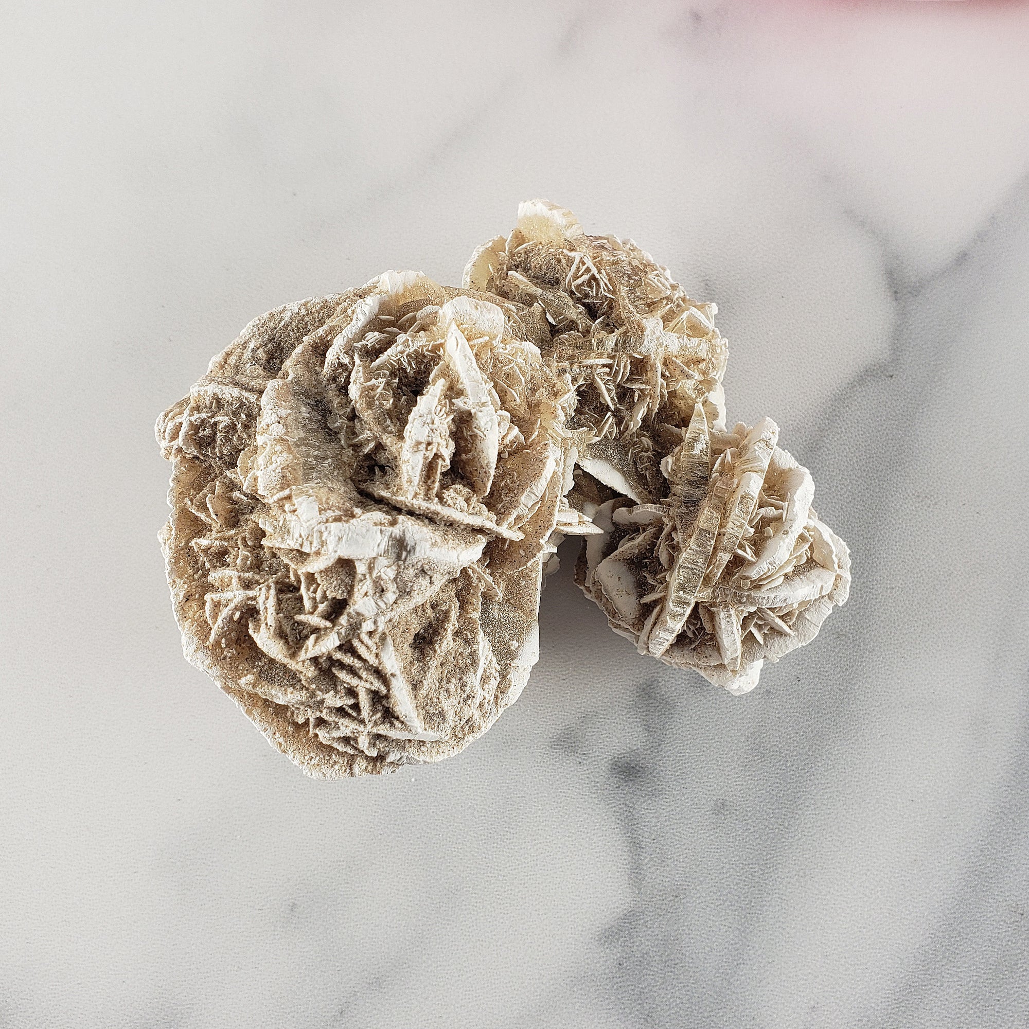 Desert Rose Selenite Mineral Formation | Crystal Gemstone Shop