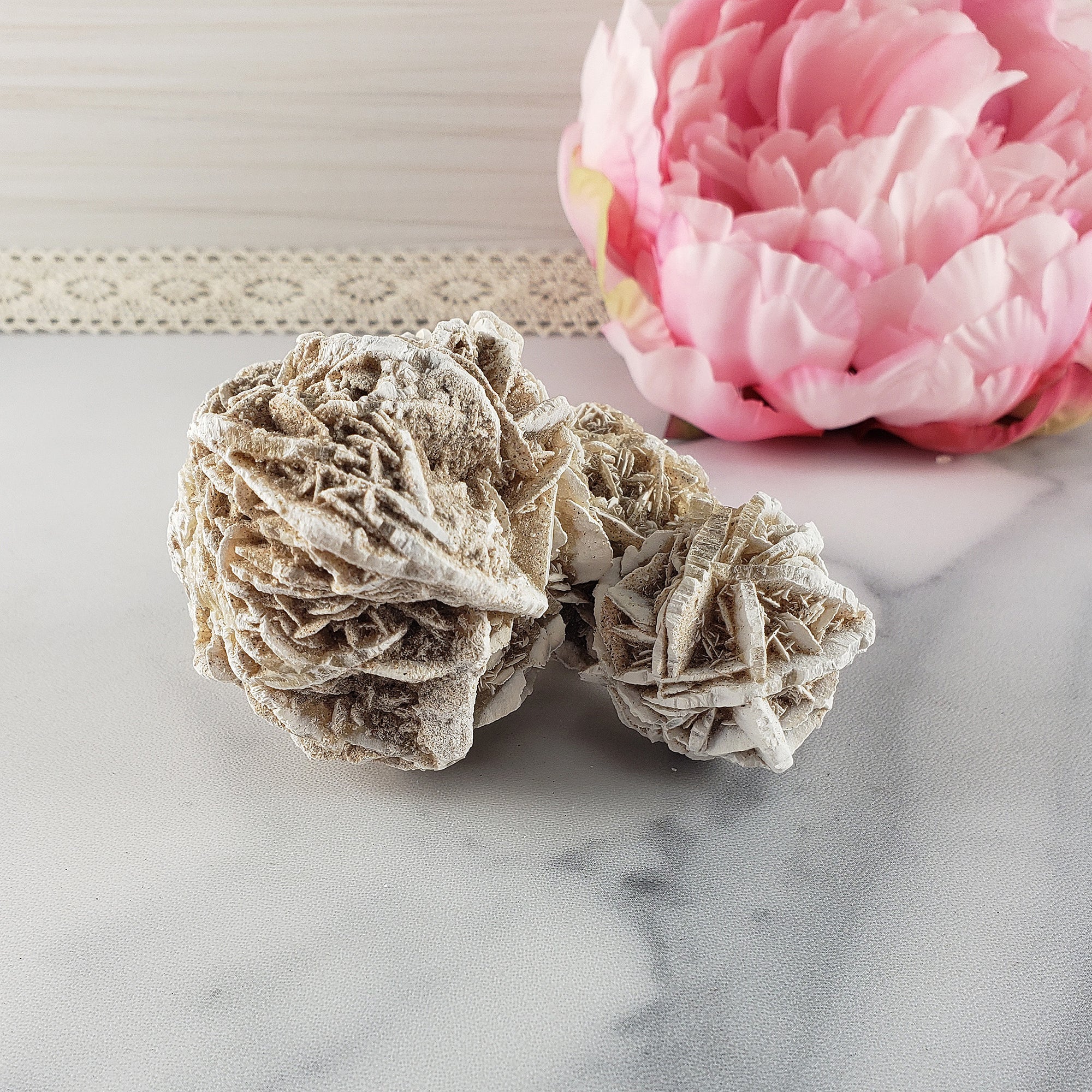 Desert Rose Selenite Mineral Formation | Crystal Gemstone Shop